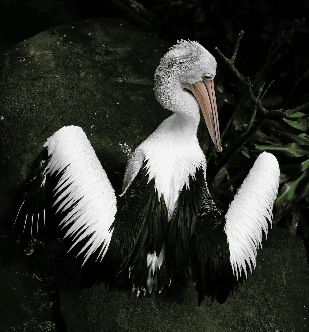 Domestic Violence and Abuse: Men Standing Strong